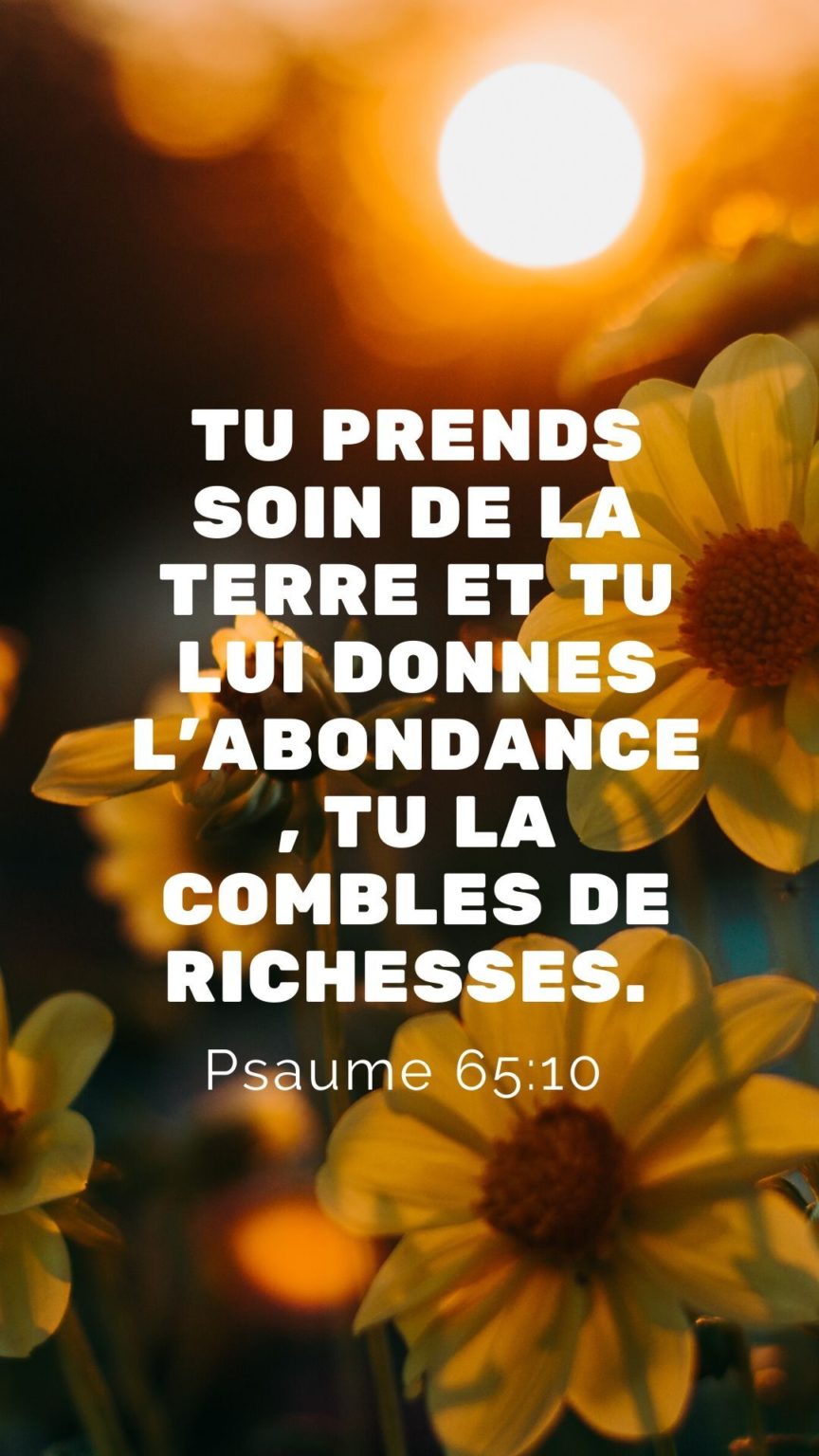 « Prends soin de toi et de la terre » ! Foi et sauvegarde de la nature ...