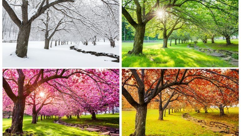 Les saisons de la vie - Martin Hoegger